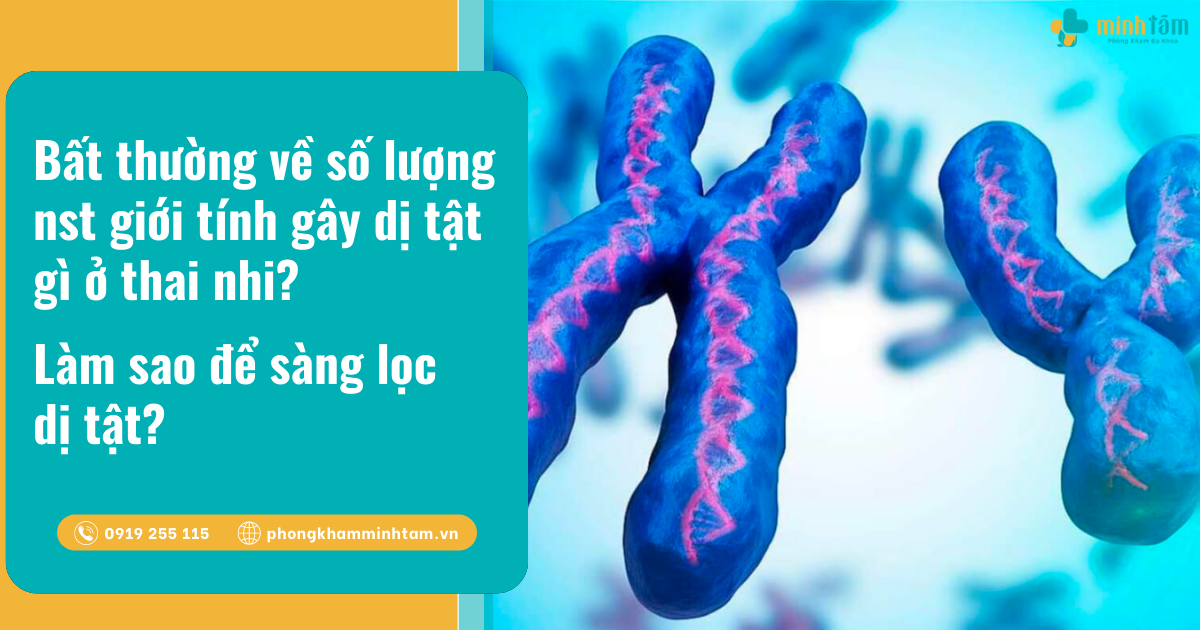Bất thường về số lượng nst giới tính gây dị tật gì ở thai nhi? Làm sao để sàng lọc dị tật do bất ...